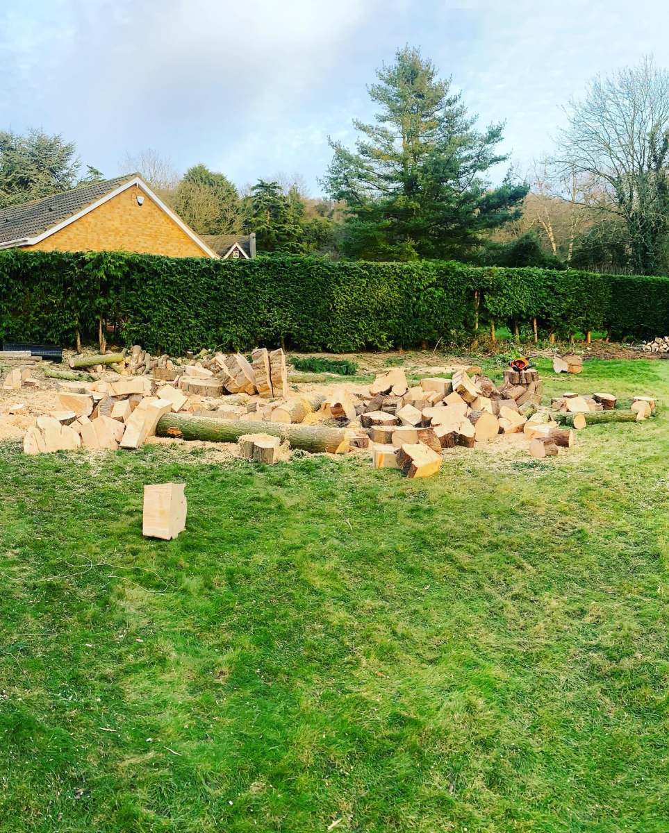 Hedge Work - Tree Surgeon | Great Oak Tree Services Ltd | Scunthorpe
