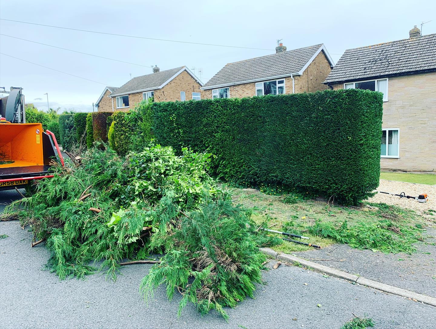 Hedge Work - Tree Surgeon | Great Oak Tree Services Ltd | Scunthorpe